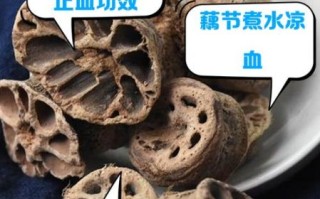 藕节煮水的功效与作用_藕节煮水能天天喝吗