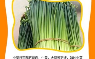 韭菜苔的功效与作用禁忌_哪些人不能吃