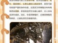 买的螃蟹死了能吃吗_螃蟹死了多久不能吃