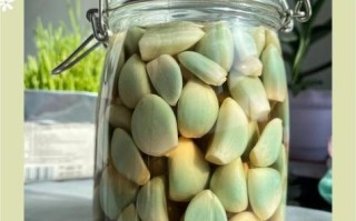 冻蒜怎么腌制好吃_冻蒜腌制方法配料
