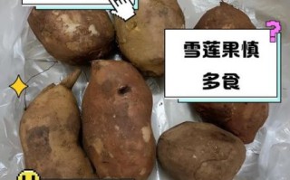 雪莲果为啥不能晚上吃_雪莲果晚上吃有什么危害