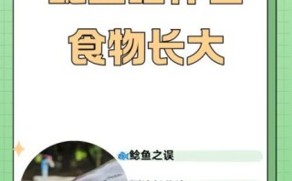 鲶鱼吃什么食物_鲶鱼怎么养长得快