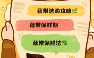 藕带怎么保存_藕带能放冰箱吗