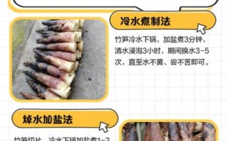 新鲜竹笋怎么做不苦_竹笋去涩味最快的方法