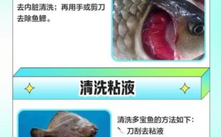 冷冻多宝鱼怎么杀_多宝鱼宰杀视频教程