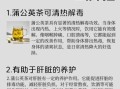 蒲公英茶副作用有哪些_孕妇能喝蒲公英茶吗