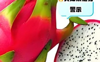 火龙果上火吗_吃多了会怎样