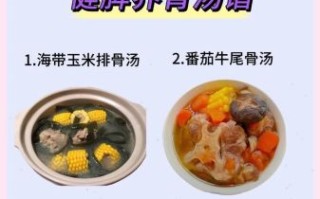 什么汤最养胃_养胃汤的做法大全