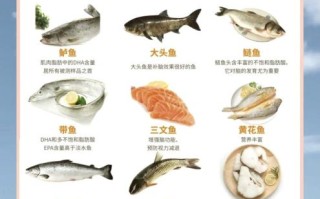 鱼类dha含量排名表_孕妇吃哪种鱼补dha最好