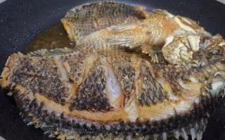 罗非鱼能做酸菜鱼吗_罗非鱼酸菜鱼怎么做才嫩