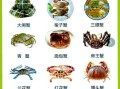 野生螃蟹吃什么食物_野生螃蟹爱吃什么