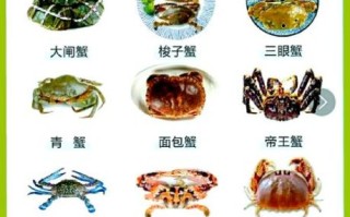 野生螃蟹吃什么食物_野生螃蟹爱吃什么