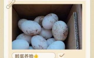 吃鹅蛋有什么好处和坏处_孕妇能吃吗