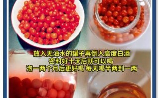 自制樱桃酒的功效与作用_樱桃酒怎么做