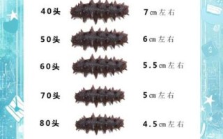 大连干海参一斤多少钱_如何挑选优质干海参