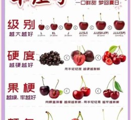 车厘子怎么保存时间长一点_车厘子冷藏还是常温