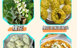 槐树花怎么吃_槐树花有什么功效