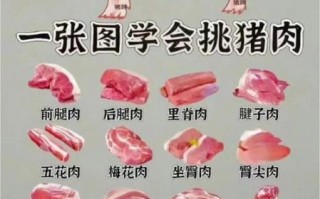 猪哪些部位不能吃_猪不能吃的部位有哪些