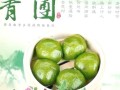 青团子是哪里的特色_青团子怎么做好吃