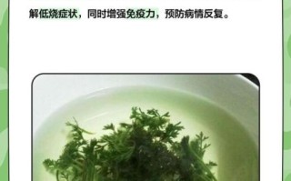 青蒿草的功效与作用_青蒿草怎么泡水喝