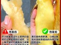 鱼胶和花胶有什么区别_哪个更滋补