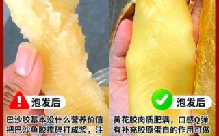 鱼胶和花胶有什么区别_哪个更滋补