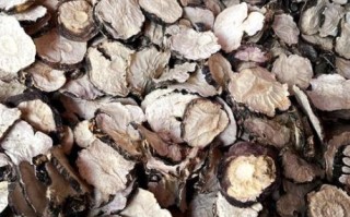 玛咖怎么吃效果最好_玛咖的正确吃法与禁忌