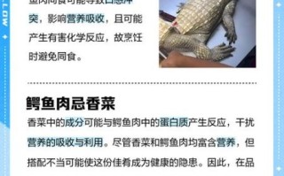 鳄鱼肉能吃吗_鳄鱼肉营养价值
