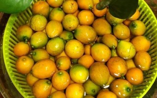 咸金桔腌发霉图片_还能吃吗