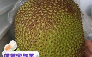 吃完菠萝蜜不能吃什么_菠萝蜜相克食物有哪些
