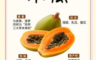 木瓜的正确吃法_木瓜怎么吃才最营养
