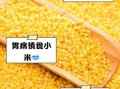 每天吃小黄米的危害_小黄米吃多了会怎么样