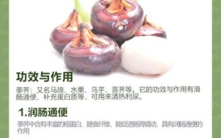 马蹄的功效与作用_马蹄的药用价值有哪些