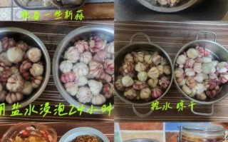 白醋糖醋蒜怎么腌制最好吃_糖醋蒜用白醋还是米醋