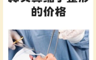 蒜头鼻整形价格_蒜头鼻整形多少钱