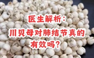 川贝母不适宜人群有哪些_川贝母哪些人不能吃