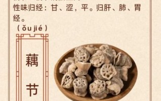藕节的功效与作用及禁忌_藕节怎么吃止血最快