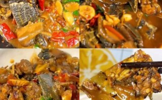 红烧甲鱼图片高清_正宗做法步骤