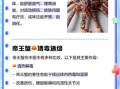 帝王蟹的营养价值_帝王蟹的功效与作用