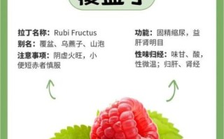 覆盆子副作用有哪些_覆盆子禁忌人群
