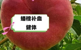 蟠桃怎么保存_蟠桃几月份成熟
