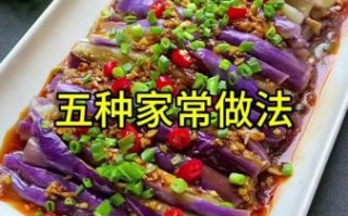 家常肉沫茄子怎么做_茄子怎么炒不吸油