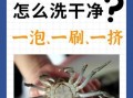 螃蟹怎么清洗干净_螃蟹清洗步骤