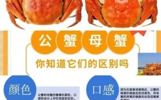 公蟹和母蟹哪个好吃_如何挑选更鲜美