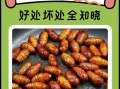 蚕蛹吃多了有什么坏处_蚕蛹过量副作用