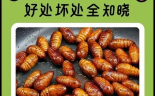 蚕蛹吃多了有什么坏处_蚕蛹过量副作用