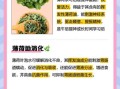 薄荷叶怎么吃最好_薄荷叶的正确吃法