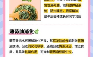 薄荷叶怎么吃最好_薄荷叶的正确吃法