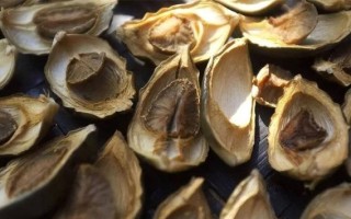 吃槟榔和吸毒感觉相同吗_槟榔成瘾机制揭秘