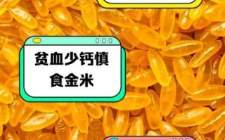 黄金米的功效与作用禁忌_适合哪些人吃